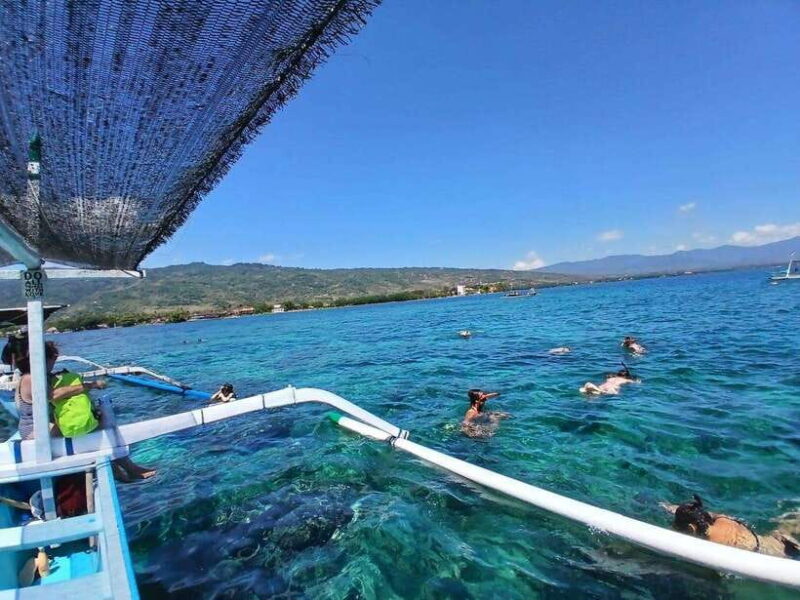 Lovina/BALI : SPECIAL Dolphin Watching,Swimming,Snorkeling - Analyzing the Cost and Value