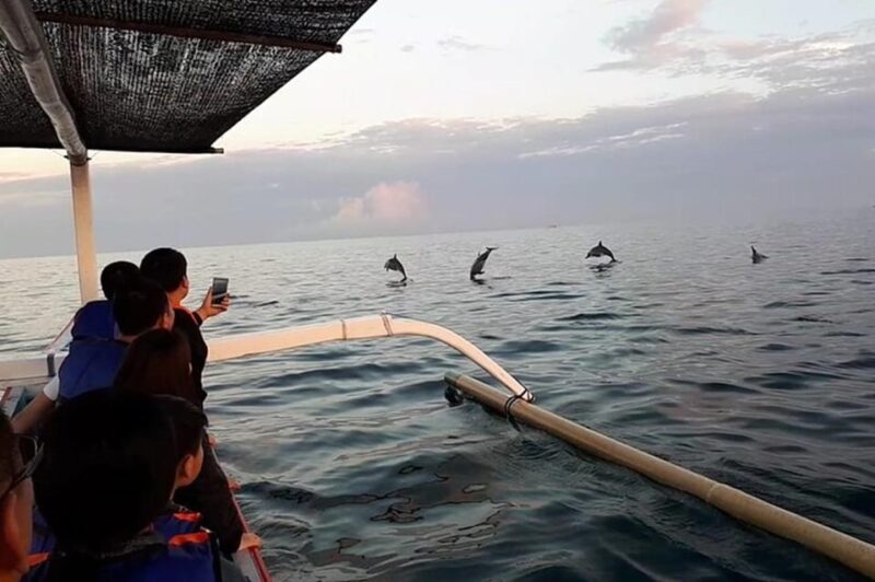 Lovina Dolphin Watching + Swimming with dolphin Private tour - Key Points