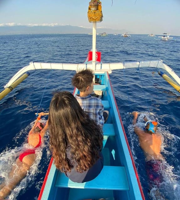 Lovina Dolphin Watching + Swimming with dolphin Private tour - The Sum Up