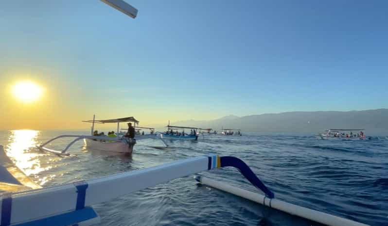 Lovina Dolphin Watching + Swimming with dolphin Private tour - FAQs