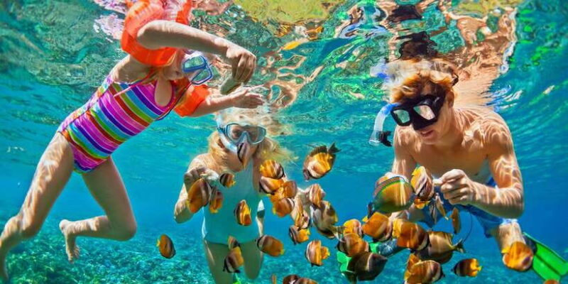 Lovina : Lovina Dolphin tour and Lovina Snorkeling reef - What Truly Sets This Tour Apart