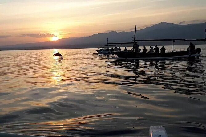 Lovina Sunrise Dolphin with option snorkeling and waterfall - A Closer Look at the Tour Experience