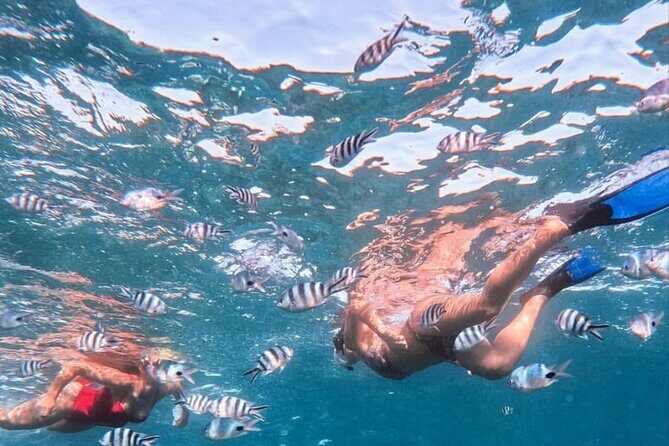 Lovina Sunrise Dolphin with option snorkeling and waterfall - Frequently Asked Questions