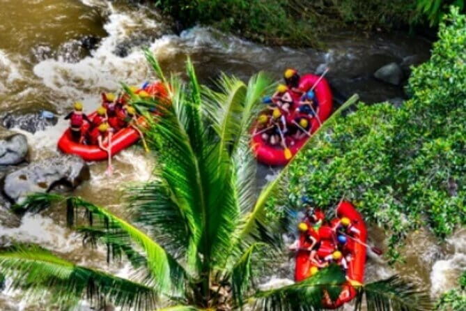 Lovina Watching Dolphin with Sunrise-Snorkeling-Waterfall Tour - Final Thoughts: Is This Tour for You?
