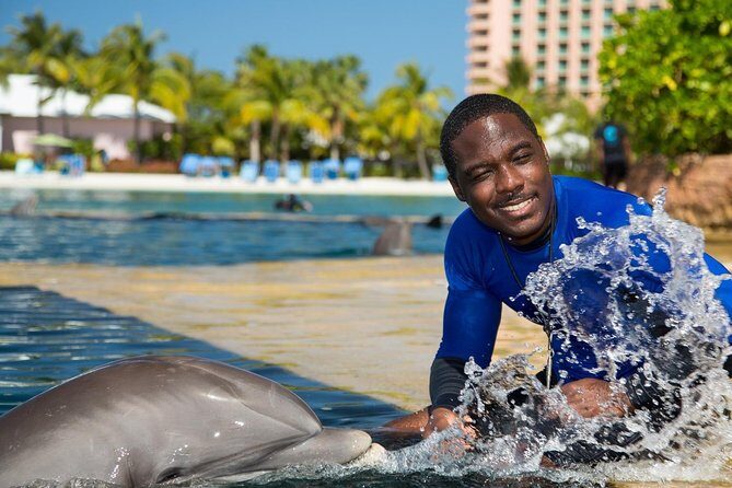 Low Cost Airport (Each-way) - Deep Dive into the Experience