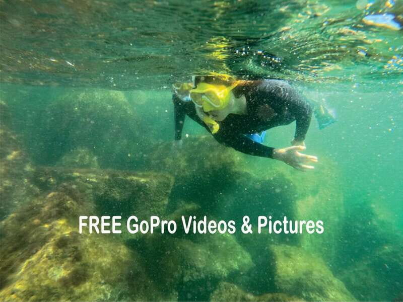 Lower Grand Lagoon: Panama City Beach Guided Snorkeling Tour - An Introduction to the Tour