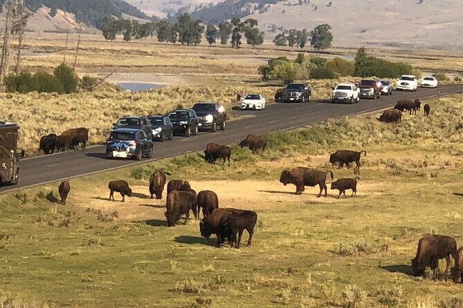 Lower Loop Hot Springs Geysers Private West Yellowstone - The Booking and Availability