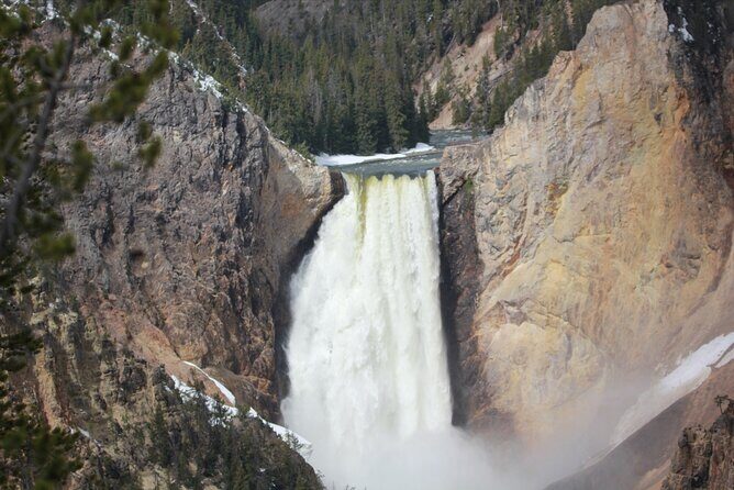 Lower Loop Yellowstone Wildlife Scenic - Jackson Hole Day Tour | WY - Final Thoughts: Is It Worth It?