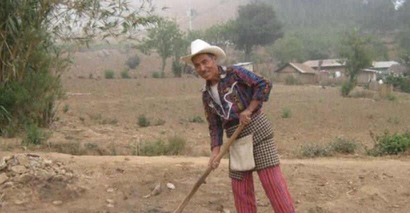 Lower Mayan Trail: San Marcos to Santa Cruz 4-Hour Hike - An Introduction to the Lower Mayan Trail Hike