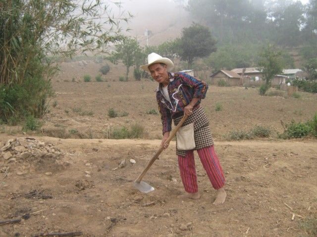 Lower Mayan Trail: San Marcos to Santa Cruz 4-Hour Hike - The Drawbacks and Considerations