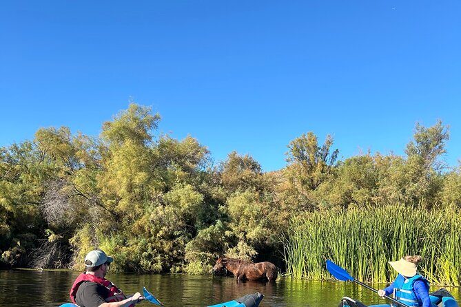 Lower Salt River Guided Kayak Tours - Weather and Seasonal Variations