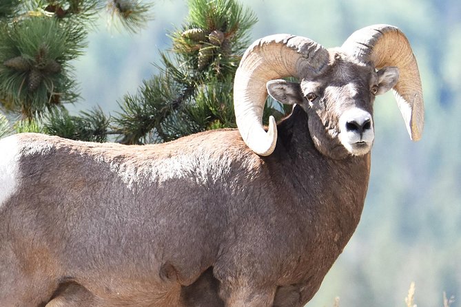 Lower Valley Tour RMNP - Key Highlights of the Tour