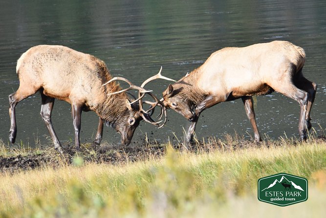 Lower Valley Tour RMNP - Meeting and End Points