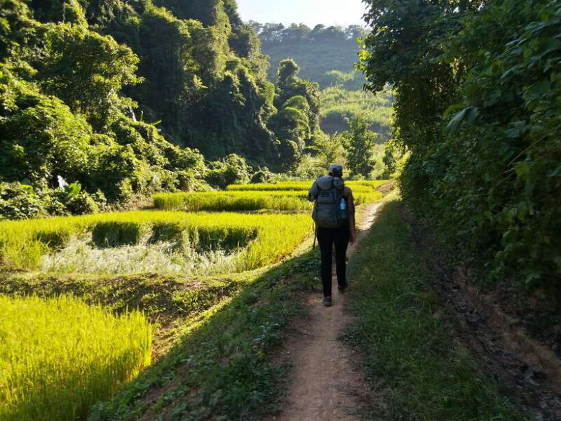 Luang Prabang: 3-Day Cultural Remote Trek With Homestay - What Makes the Trek Special?