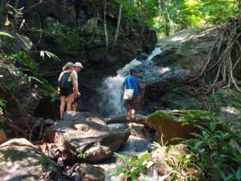 Luang Prabang: 3 Days Ethnic Forest Living - Mekong - Day 2: Into the Forest – Survival Skills and Hidden Waterfalls