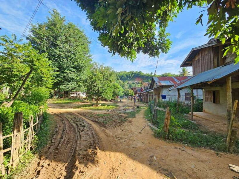 Luang Prabang: Authentic Lao Village & Farm Experience Day - The Value and Why It Matters