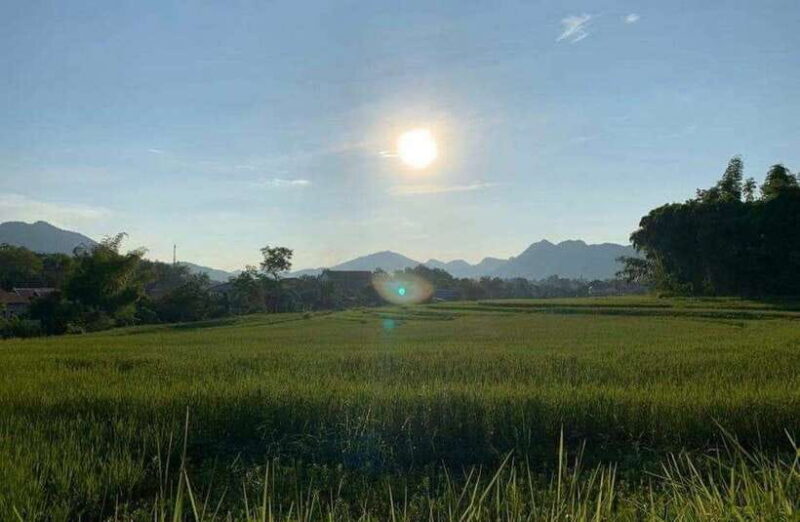 Luang Prabang: Evening Cooking Class & Local Baci Ceremony - The Musical and Cultural Highlights