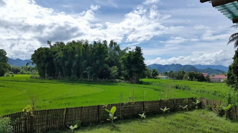 Luang Prabang: Evening Cooking Class & Local Baci Ceremony - What Makes This Tour Special?