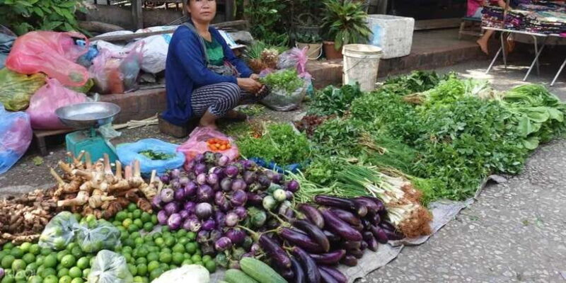 Luang Prabang: Foodie Walking Tour & Monk Blessing - Who Should Book This Tour?