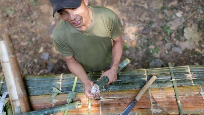 Luang Prabang: Full Day Forest Cooking Experience - Final Words on Value