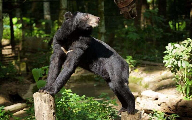 Luang Prabang: Kuang Si Bike Ride & Long-Tail Boat Cruise - Key Points