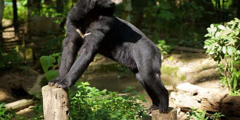 Luang Prabang: Kuang Si Bike Ride & Long-Tail Boat Cruise - FAQ