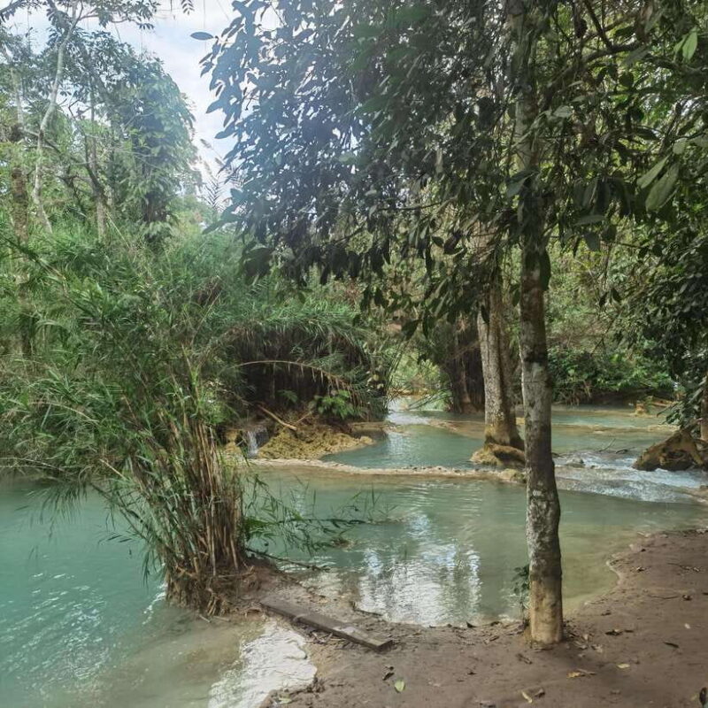 Luang Prabang: Kuang Si Falls, River Tracing Hiking - Detailed Breakdown of the Experience