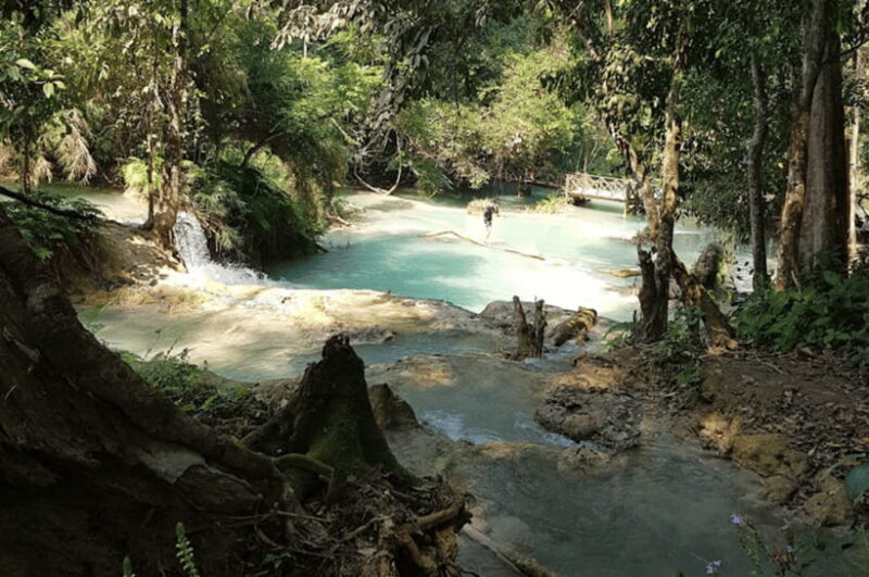 Luang Prabang: Kuang Si Falls, River Tracing Hiking - The Sum Up: Who Is This Tour Perfect For?