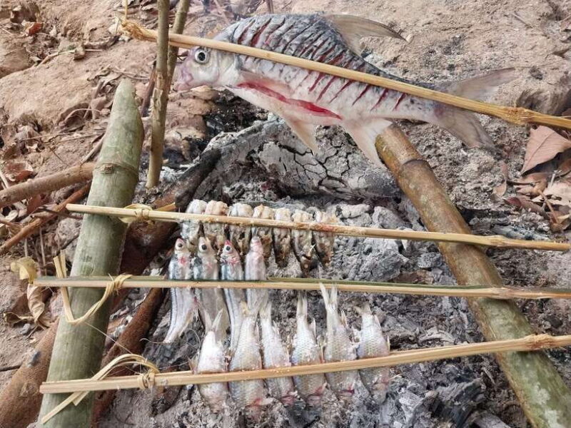 Luang Prabang: Mekong Fishing with a Local Fisherman & Lunch - Final Thoughts: Who Should Book This Tour?