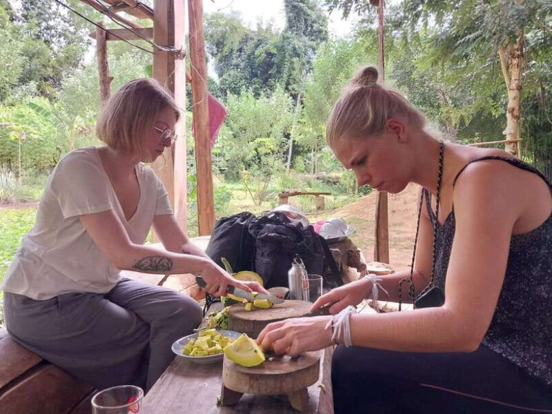 Luang Prabang: Organic Farm Experience & Hike to Kuang si - The Authenticity You Crave