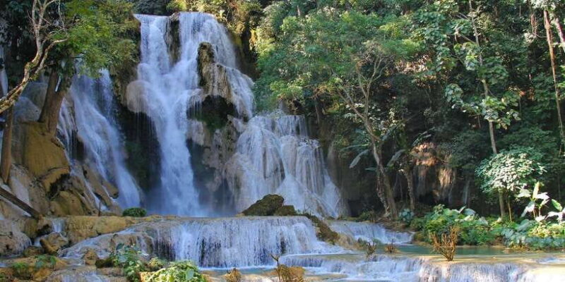 Luang Prabang: Organic Farm Experience & Hike to Kuang si - Practical Details and Tips