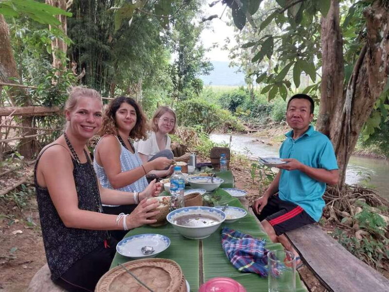 Luang Prabang: Organic Farm Experience & Hike to Kuang si - Summary: Who Will Love This Tour?