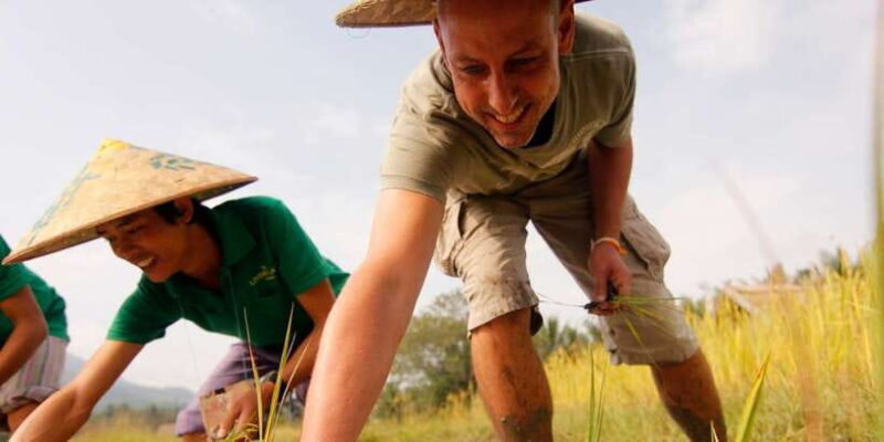 Luang Prabang: Rice Farm and Kuang Si Waterfall Tour - FAQ