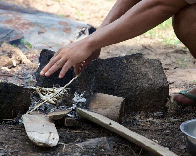 Luang Prabang Thin Pha Trail & Tad Sae Falls Trek - Who Will Love This Tour?