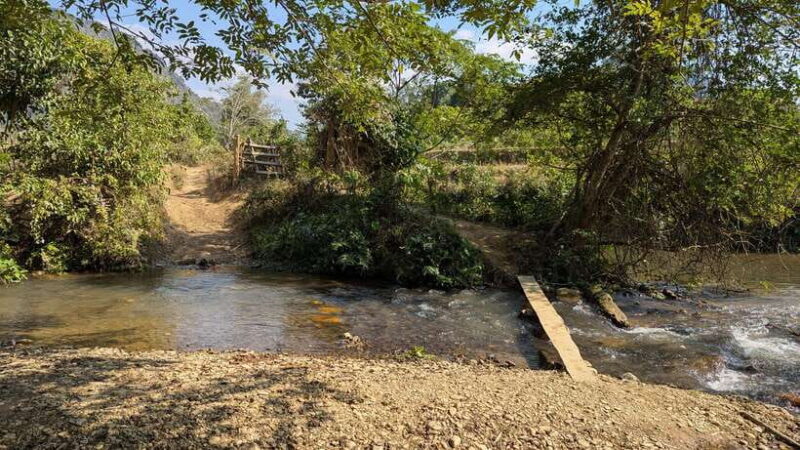 Luang Prabang to Nong Khiaw: River Cruise, Hike & Waterfall - Who Will Love This Tour?
