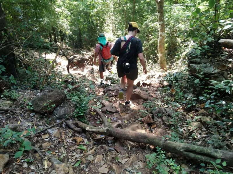 Luang Prabang Trekking LongLao to Kuang si falls full day - The Real Value: Is It Worth the Price?