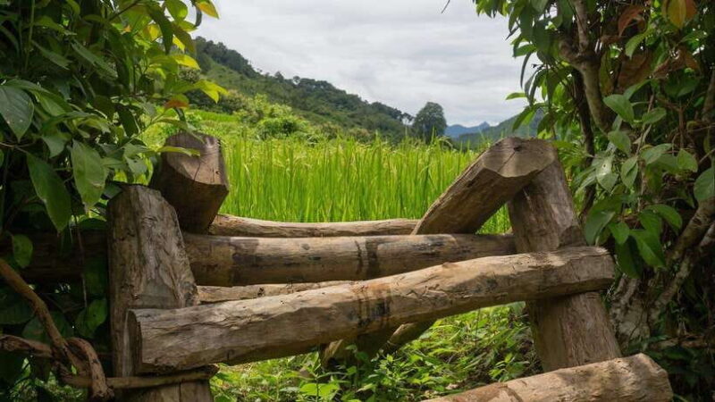 Luang Prabang: Village Trek & Nam Khan River Kayak Tour - The Sum Up