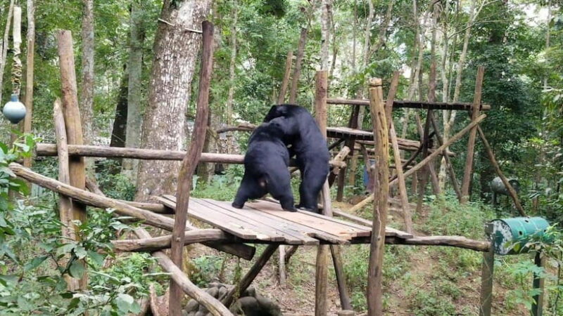 LUANG PRABANG WILDLIFE SANCTUARY - HMONG TRIBE VILLAGE - A Cultural Interlude at Ban Long Lao Hmong Village