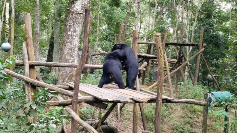 LUANG PRABANG WILDLIFE SANCTUARY - HMONG TRIBE VILLAGE - FAQs