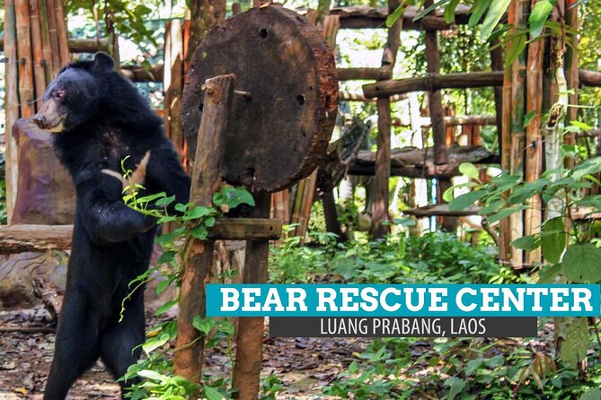 Luang Prabang's Beauty & Heritage in 1 Day - All-Inclusive Tour - The Sum Up: Is This Tour Worth It?