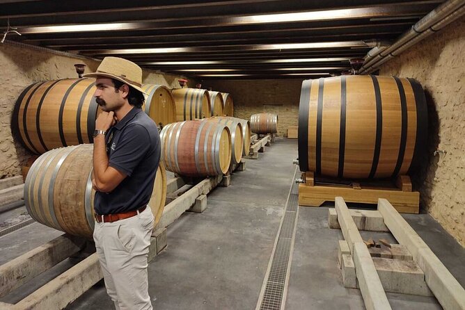 Luberon and Chateauneuf du Pape Wine Tour - Final Thoughts: Is It Worth It?