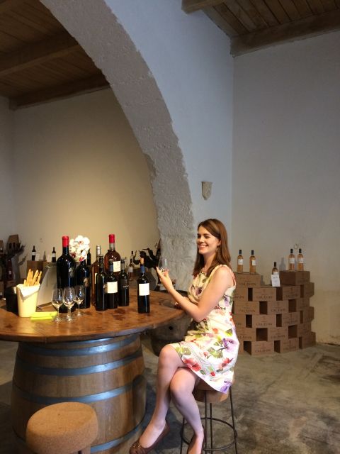 Luberon: Full-Day Wine Tour from Marseille - Key Points