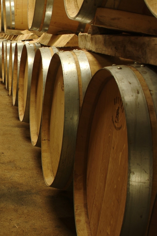 Luberon: Full-Day Wine Tour from Marseille - What the Tour Includes and What It Doesn’t