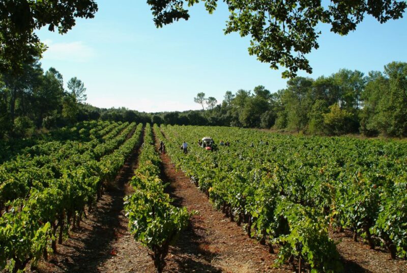Luberon: Full-Day Wine Tour from Marseille - FAQ