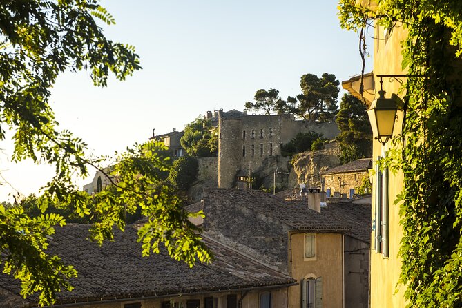 Luberon Small-Group Day Trip From Avignon - Experiencing the Quaint Village of Ménerbes