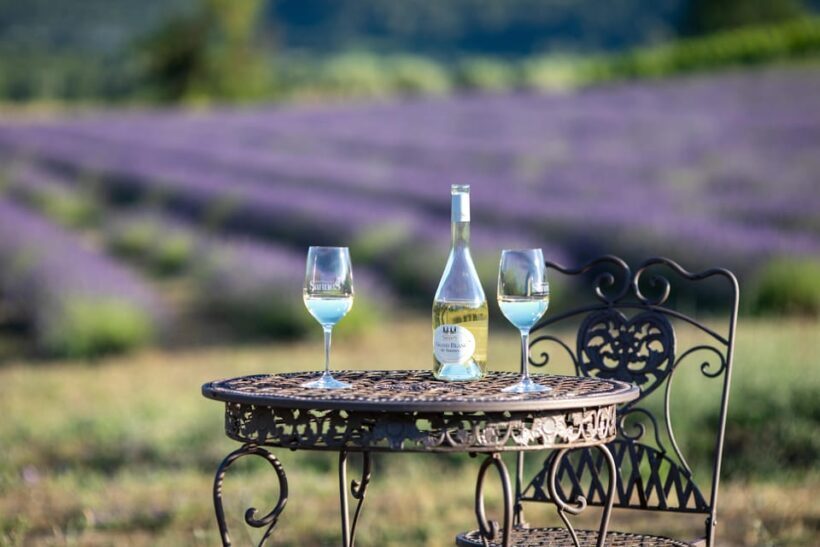 Luberon: Vineyard Tour and Wine Tasting - Exploring the Itinerary: What to Expect