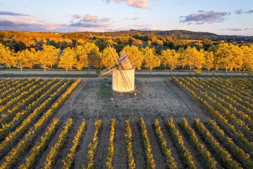 Luberon: Vineyard Tour and Wine Tasting - Who Should Consider This Tour?