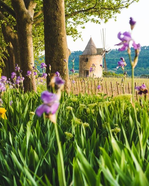 Luberon: Vineyard Tour and Wine Tasting - FAQs