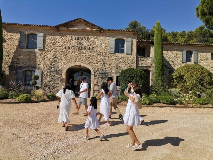 Luberon Wine and Charm: Explore the Flavors of the South - Authentic Experiences and Traveler Insights