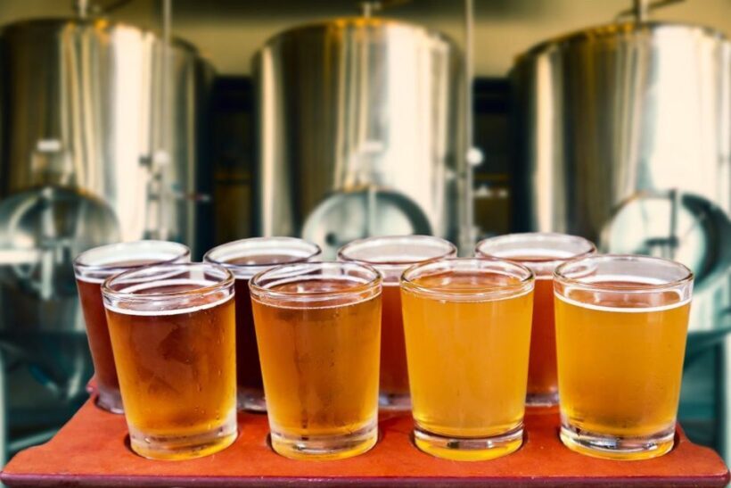 Lublin Private Polish Beer Tasting Tour - A Deep Dive into the Experience